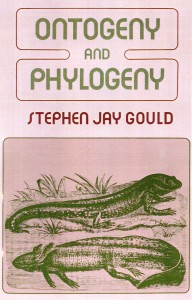 Il ruolo della Neotenia umana nella variabilità genetica e culturale ...