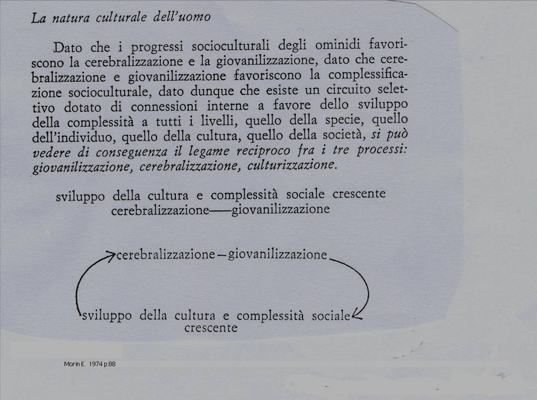 Il ruolo della Neotenia umana nella variabilità genetica e culturale ...